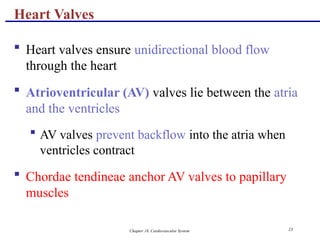 CARDIOVASCULAR SYSTEM - ANATOMY & PHYSIOLOGY | PPT