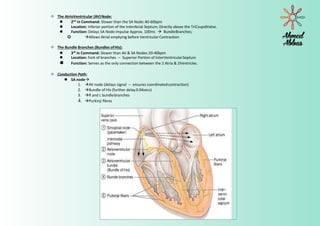 Cardiovasular lec.3 | PPT