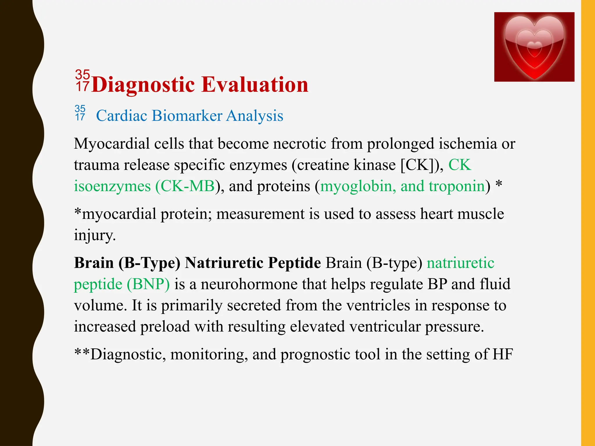 Nursing management for cardiovascular disorders | PPTX