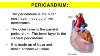 Cardititis and causes and sign symptome . | PPTX