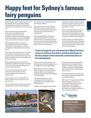 Cardno News 2010 | PDF