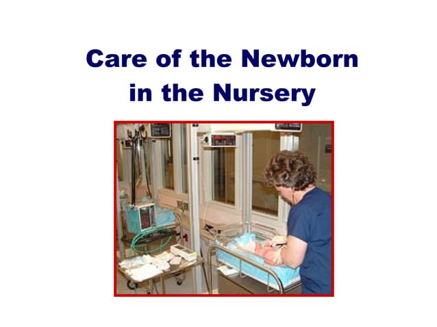 Care Of The Newborn | PPT | Pregnancy | Reproductive Health