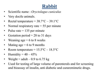 Care and handling of laboratory animals – rabbit, guinea pig | PPTX