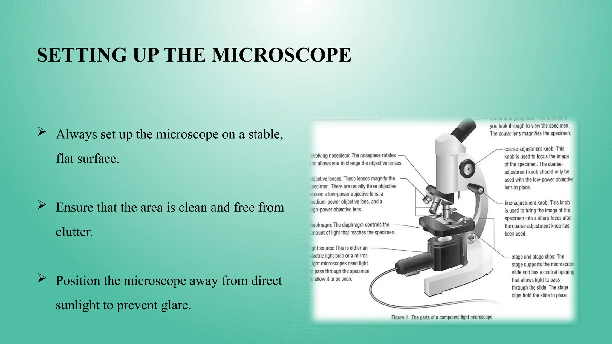 Microscope Parts, Types Care And Handling | PPTX