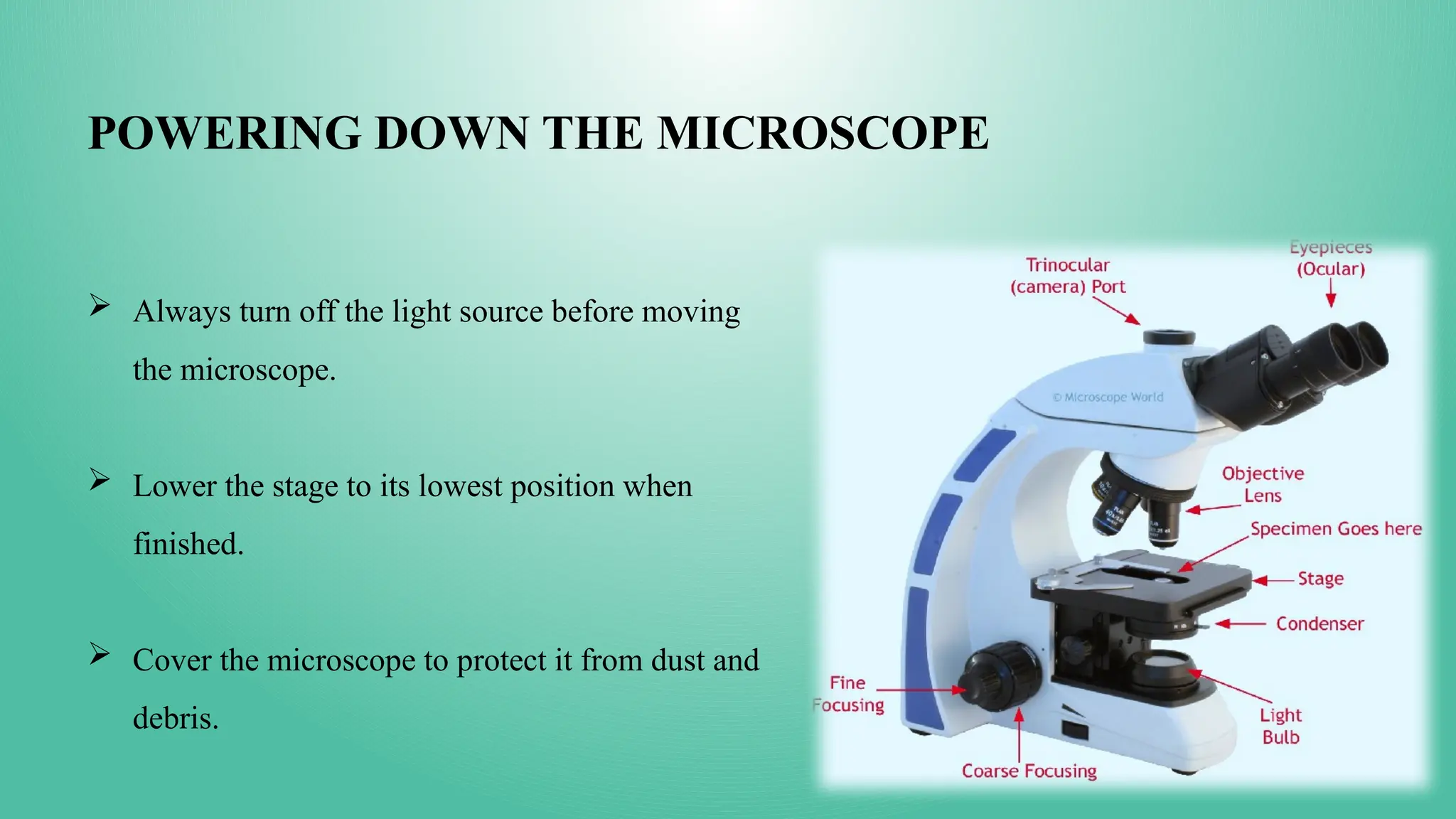 Microscope Parts, Types Care And Handling | PPTX