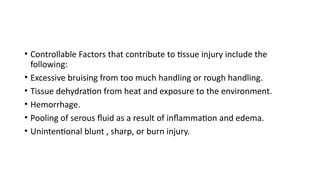 Care and Handling Of Tissues.pptx Tissues | PPT