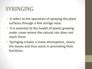 CARE AND MAINTENANCE.pptx