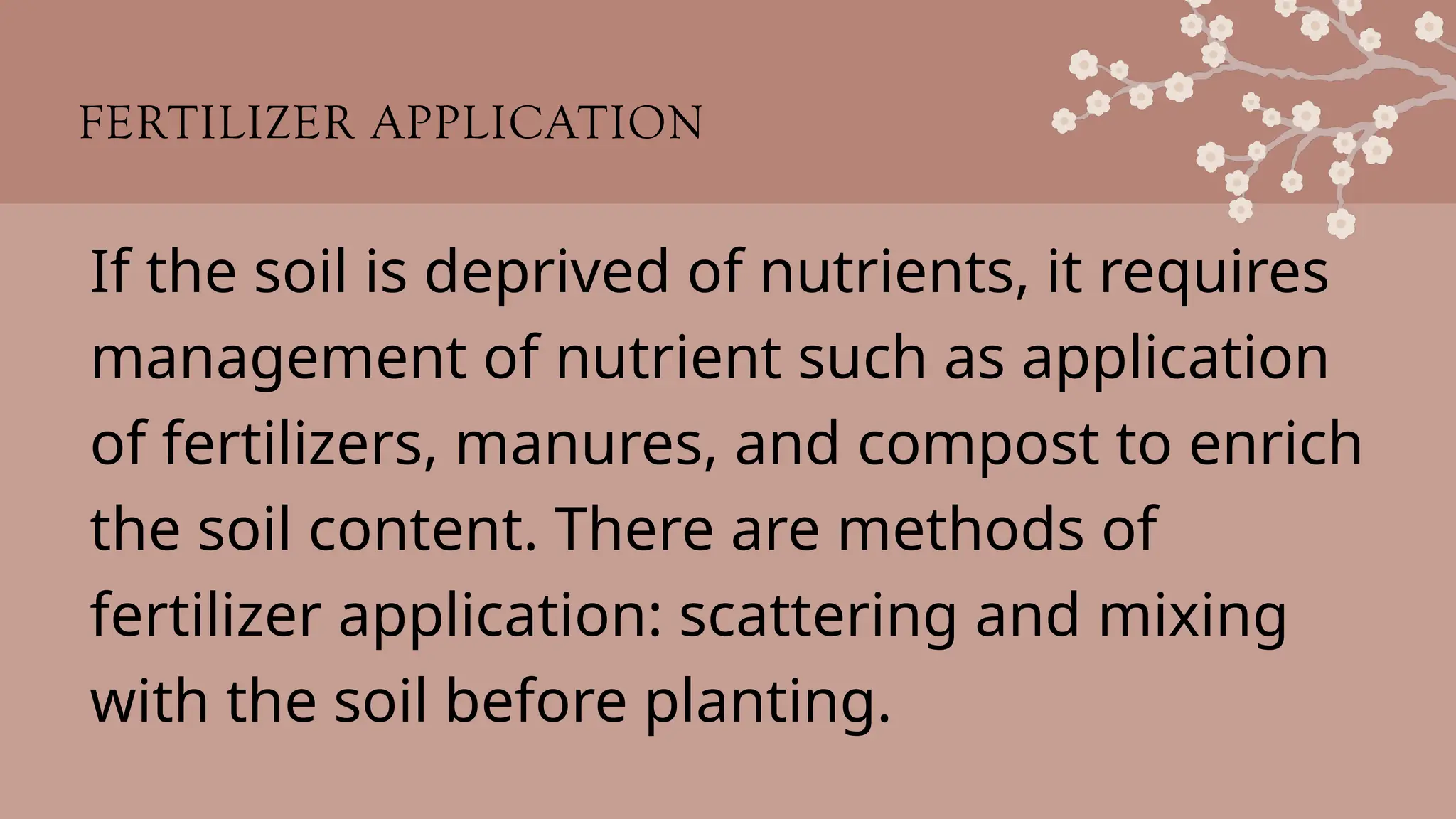 CARE AND MAINTENANCE OF agricultural CROPS.pptx