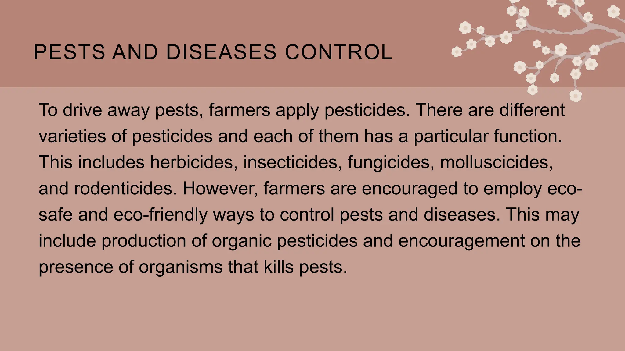 CARE AND MAINTENANCE OF agricultural CROPS.pptx