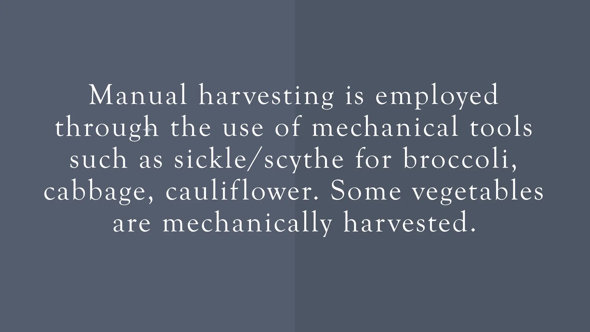 CARE AND MAINTENANCE OF agricultural CROPS.pptx