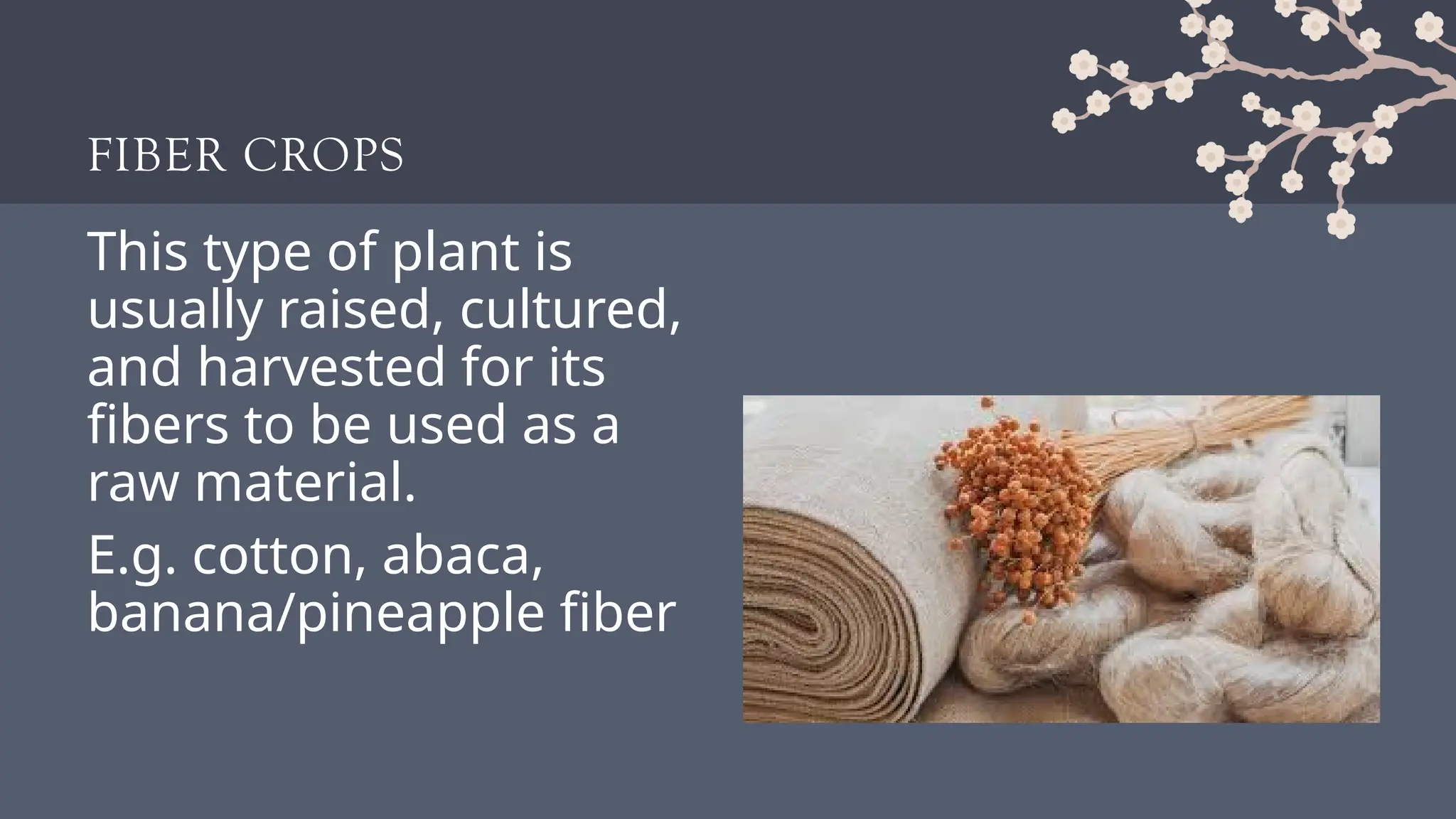 CARE AND MAINTENANCE OF agricultural CROPS.pptx