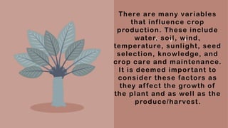 CARE AND MAINTENANCE OF agricultural CROPS.pptx