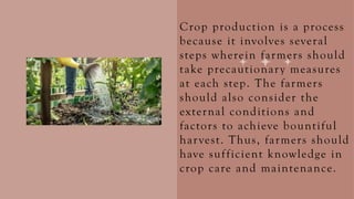 CARE AND MAINTENANCE OF agricultural CROPS.pptx