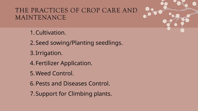 CARE AND MAINTENANCE OF agricultural CROPS.pptx