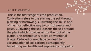 CARE AND MAINTENANCE OF agricultural CROPS.pptx