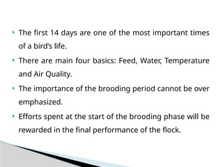 Care and management during brooding period.pptx | Birds | Pets