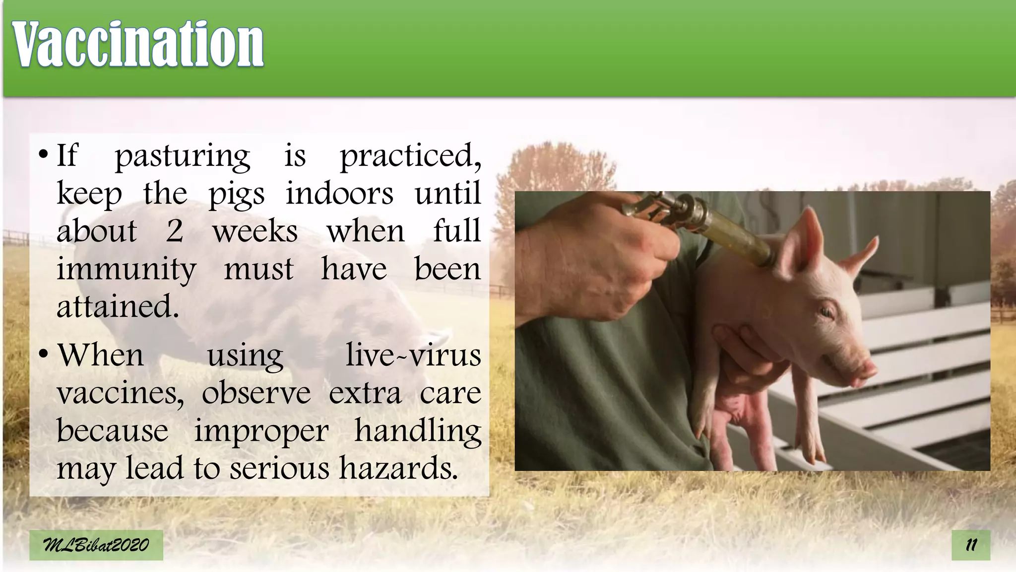 Care and management (growing finishing pigs) | PDF | Infectious ...