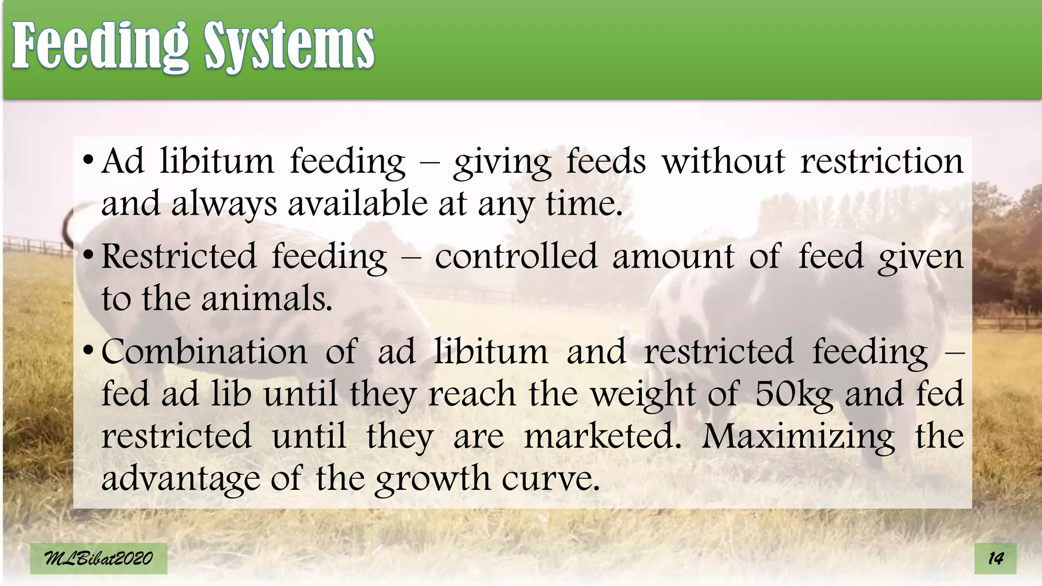Care and management (growing finishing pigs) | PDF