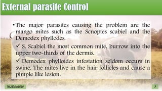 Care and management (growing finishing pigs) | PDF