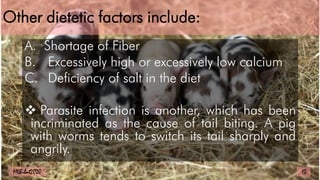 Care and management of baby pigs from birth to weaning | PDF