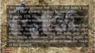 Care and management of baby pigs from birth to weaning | PDF