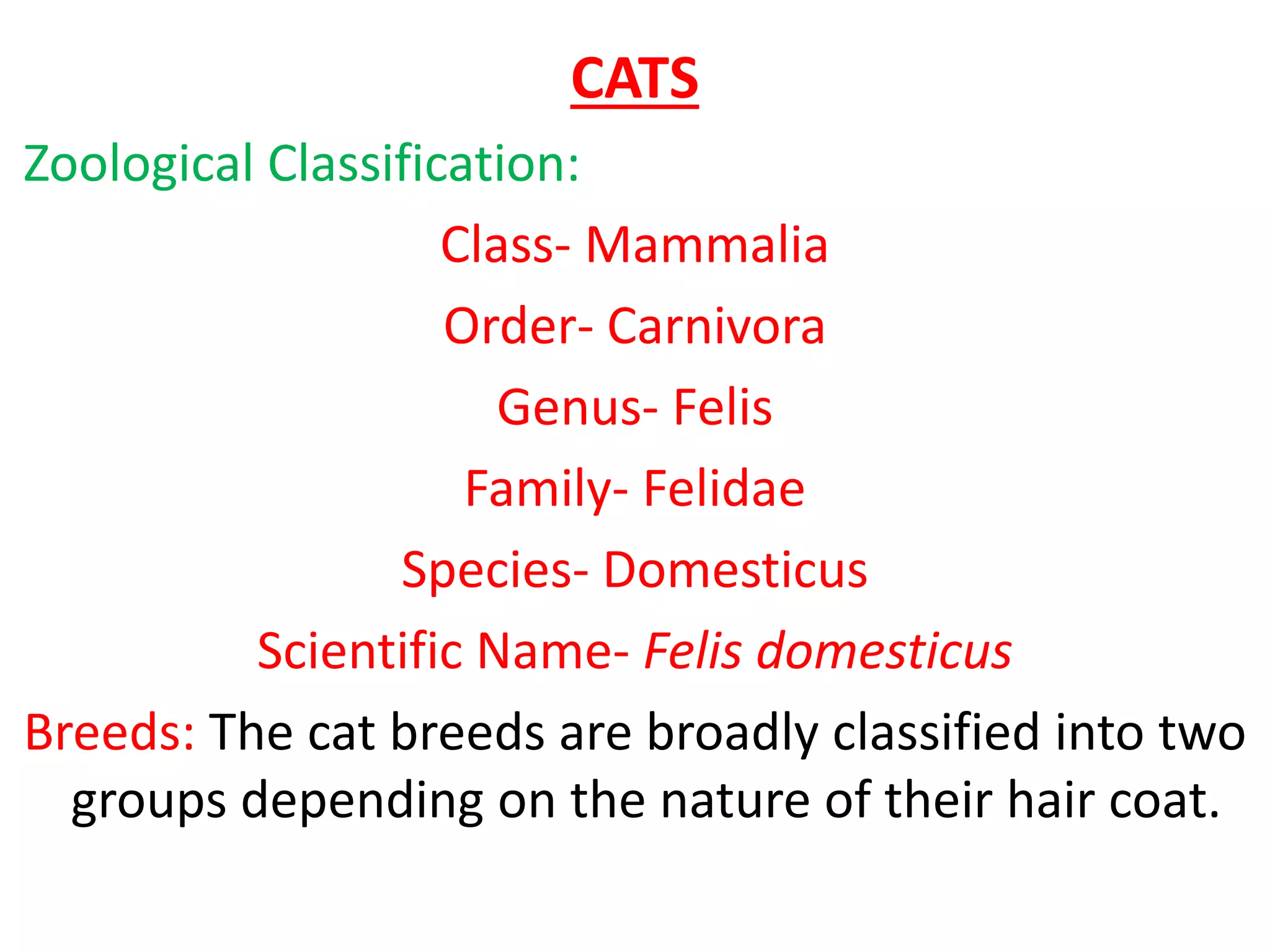 Care_and_Management_of_cats.pptx