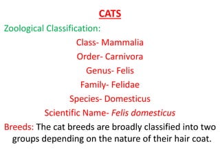 Care_and_Management_of_cats.pptx