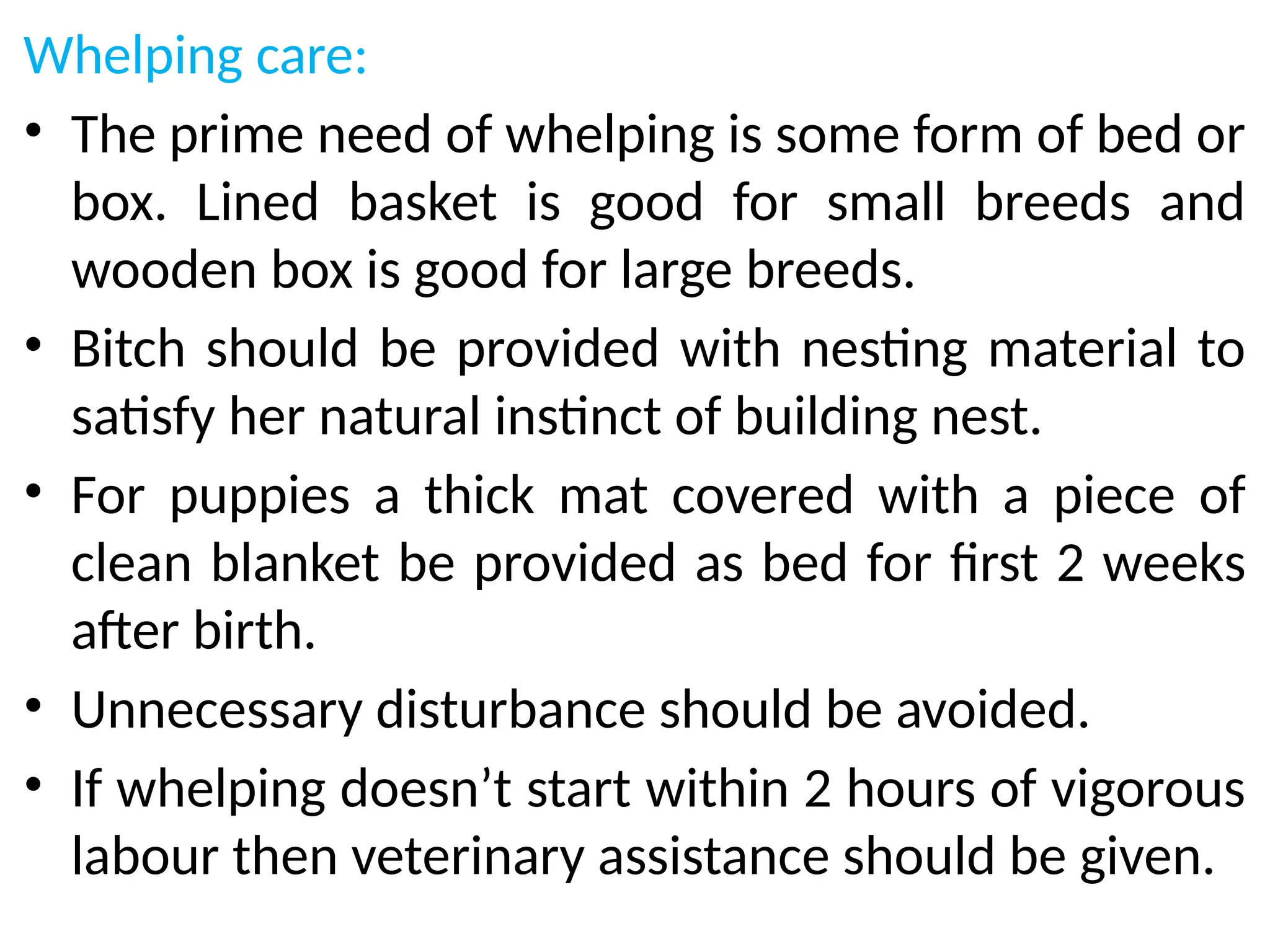 Care_and_management. _of_dogs.pptx