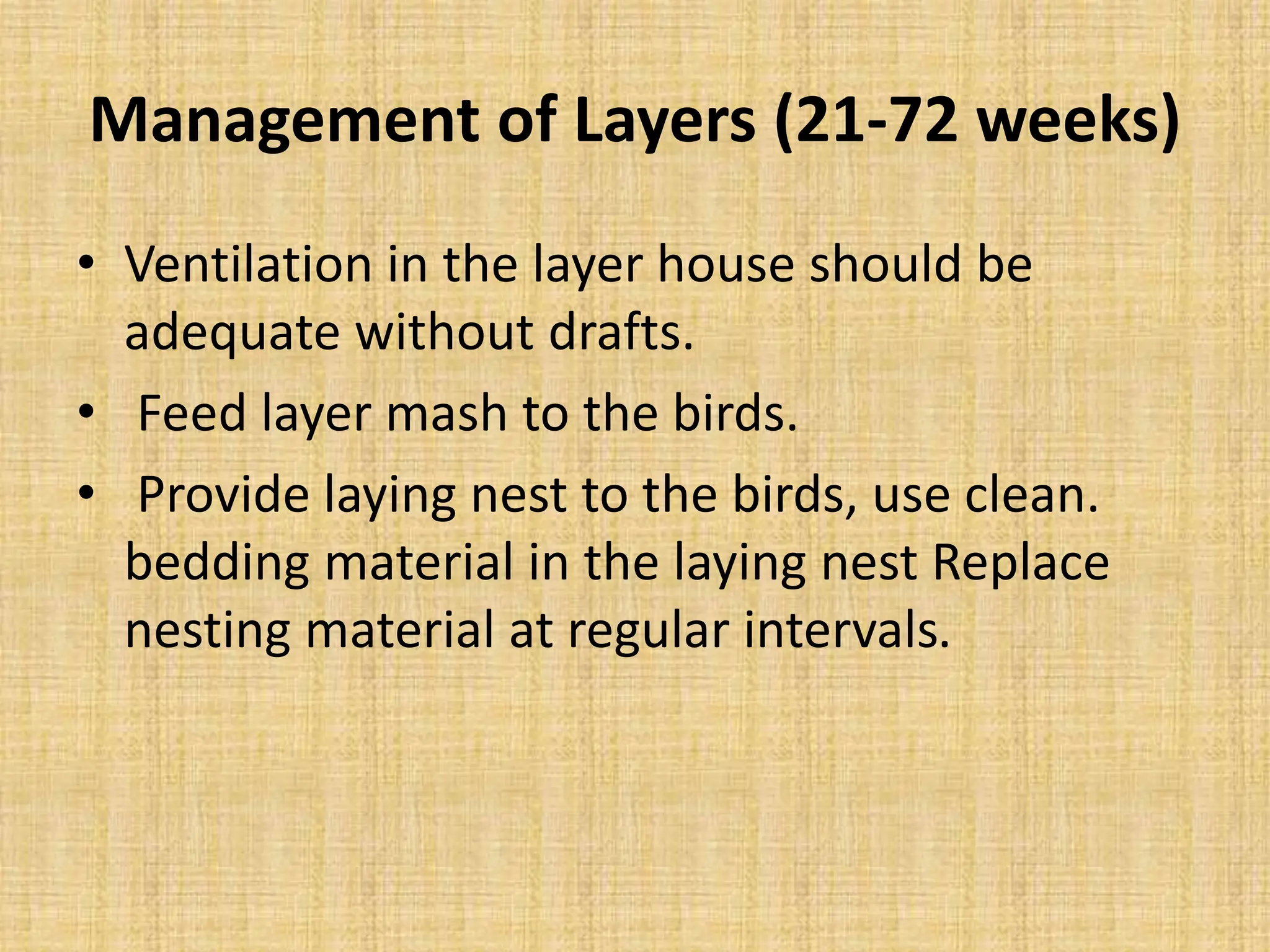 Care and management of layers and detail about production stage.pptx