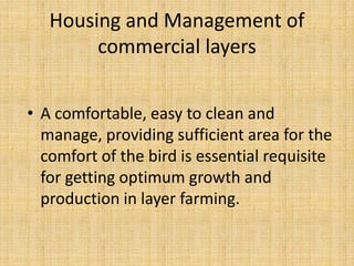 Care and management of layers and detail about production stage.pptx