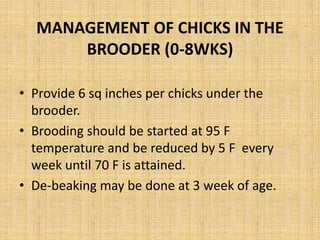 Care and management of layers and detail about production stage.pptx