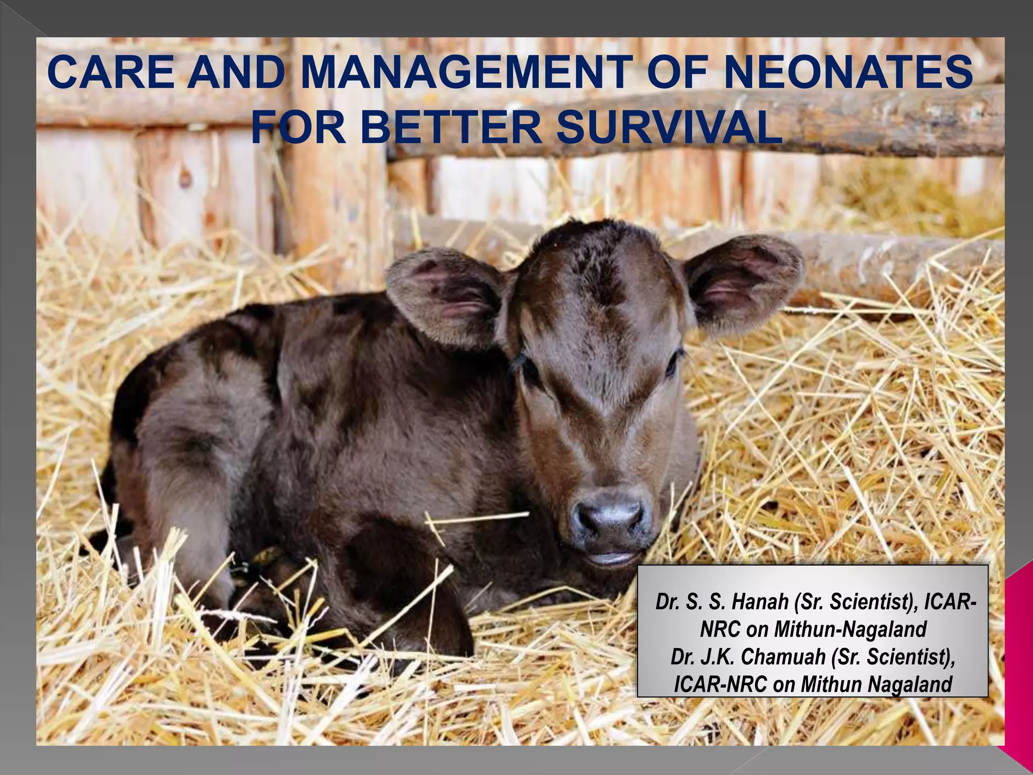 Care and Management of Neonate.pptx