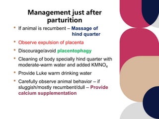 Care_and_management_of_pregnant_animals.pptx