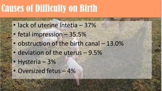 Care and management sow and gilts | PDF