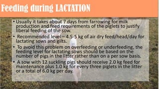 Care and management sow and gilts | PDF