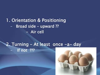Care and storage of hatching eggs before | PPTX