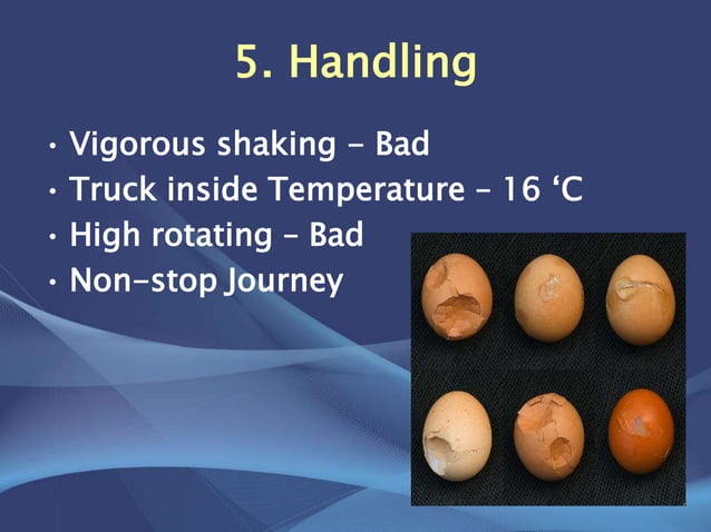 Care and storage of hatching eggs before | PPT