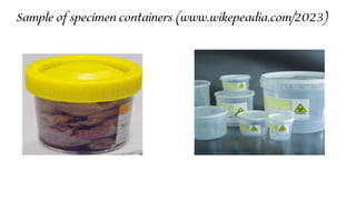 Care and transportation of surgical specimen 1.pdf