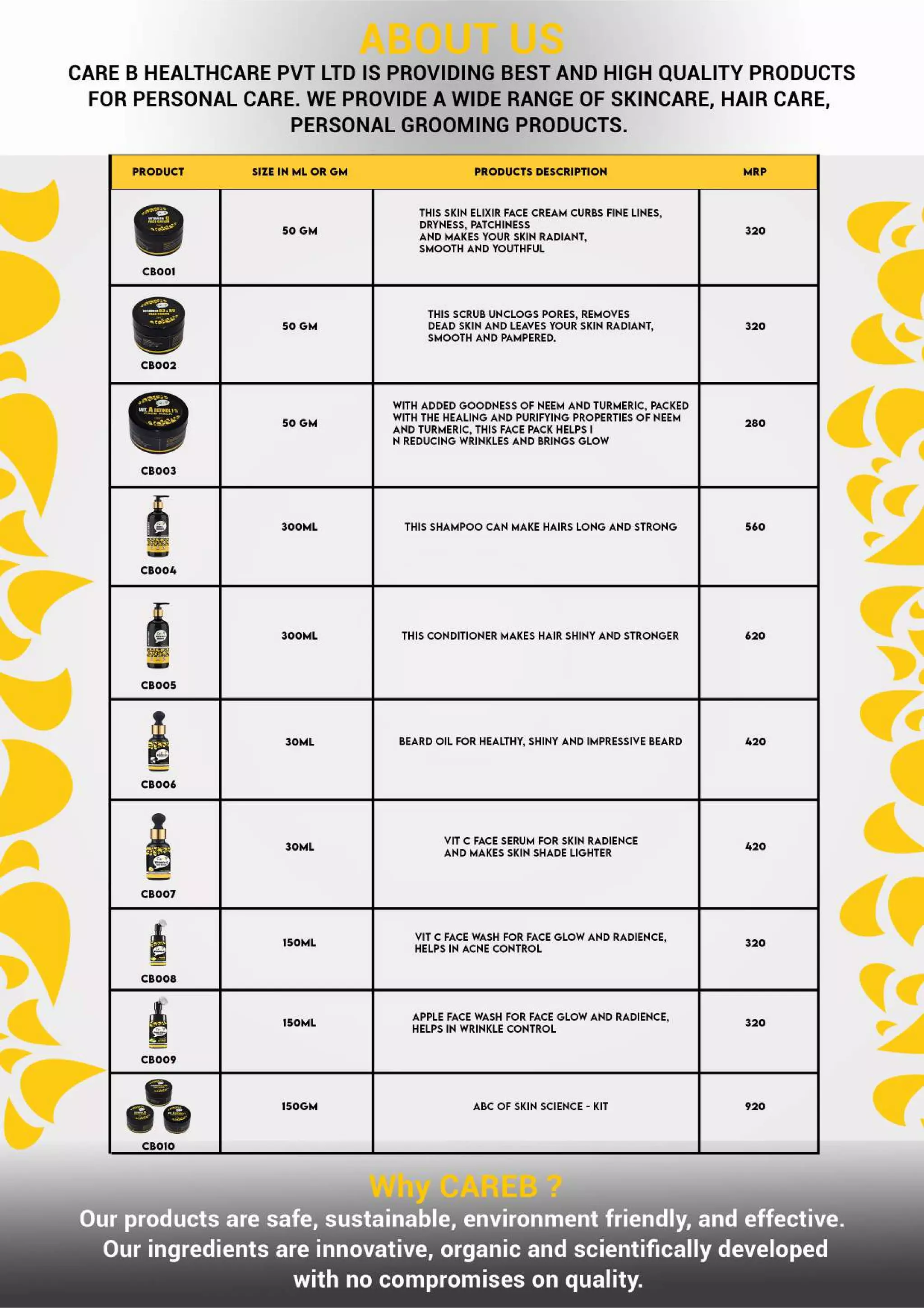 CareB Brochure.pdf