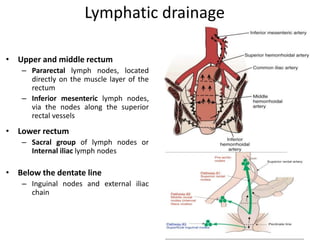 Ca rectum premanagement | PPT