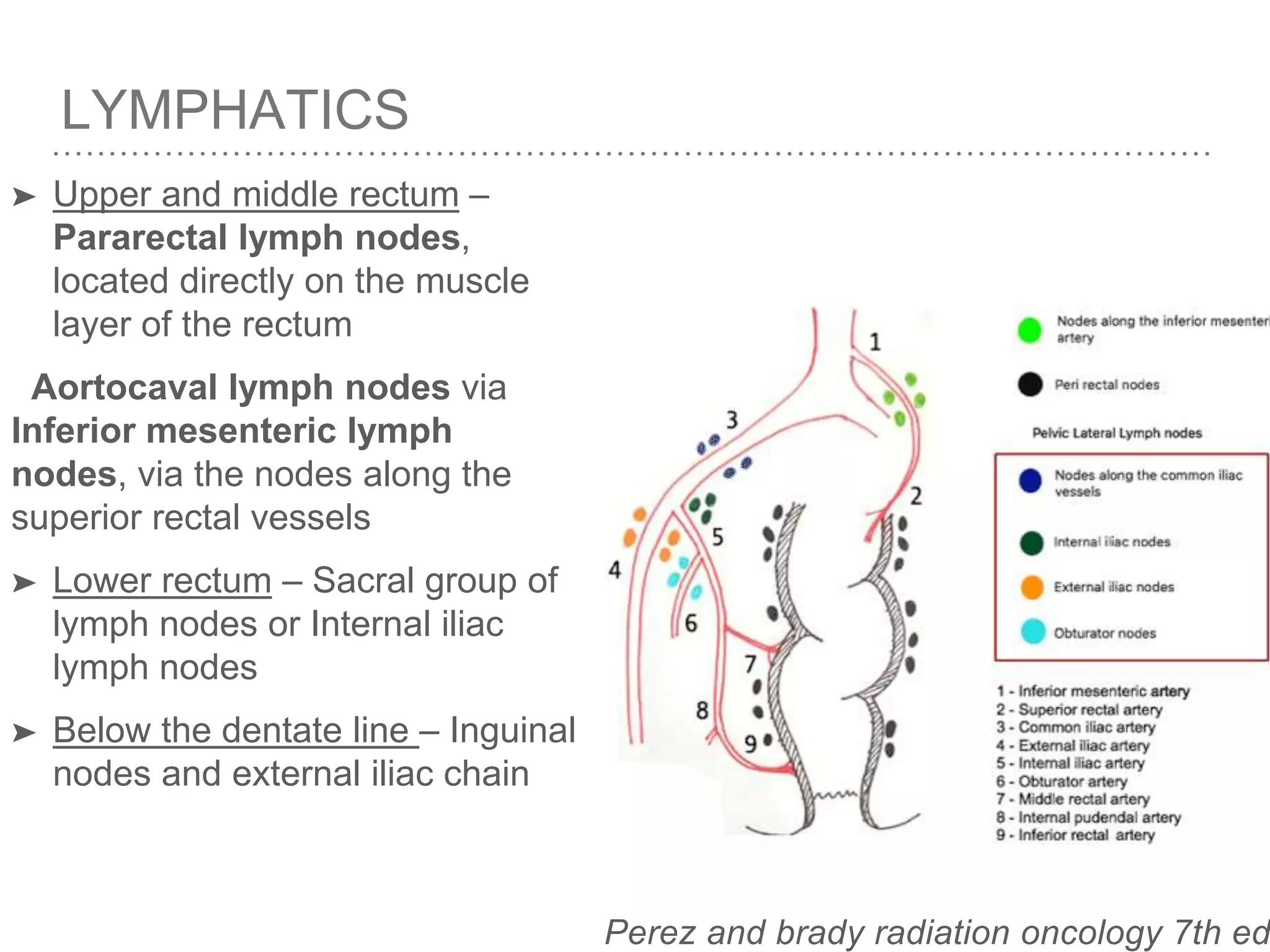Ca rectum Management seminar 2019 | PPTX