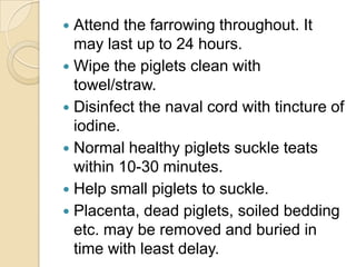 Care during farrowing of sow | PPTX