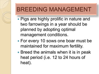 Care during farrowing of sow | PPTX
