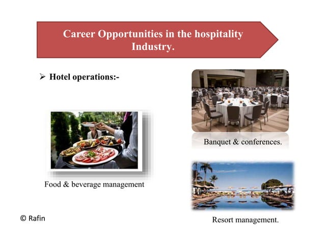 Career opportunities in the hospitality industry. | PPTX | Cruises ...