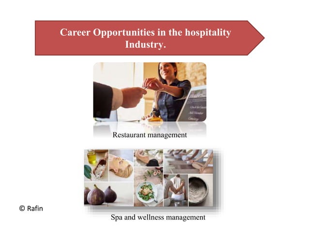 Career opportunities in the hospitality industry. | PPTX | Cruises ...