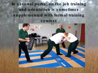Career Park Ranger | PPT