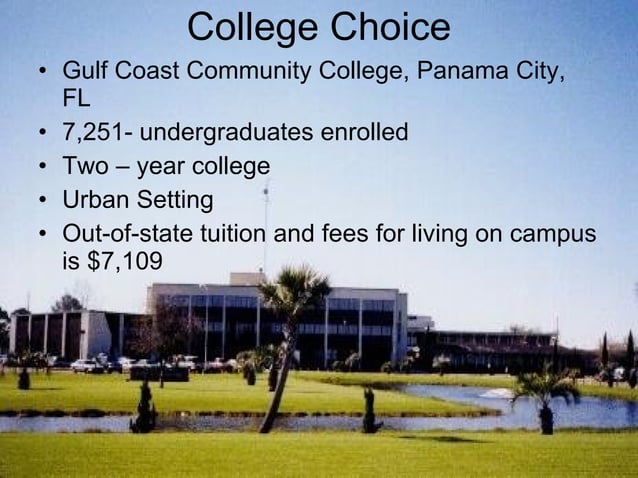 Career Planning Assignment | PPT | Free Download