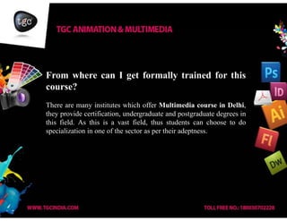 Career after multimedia degree | PDF