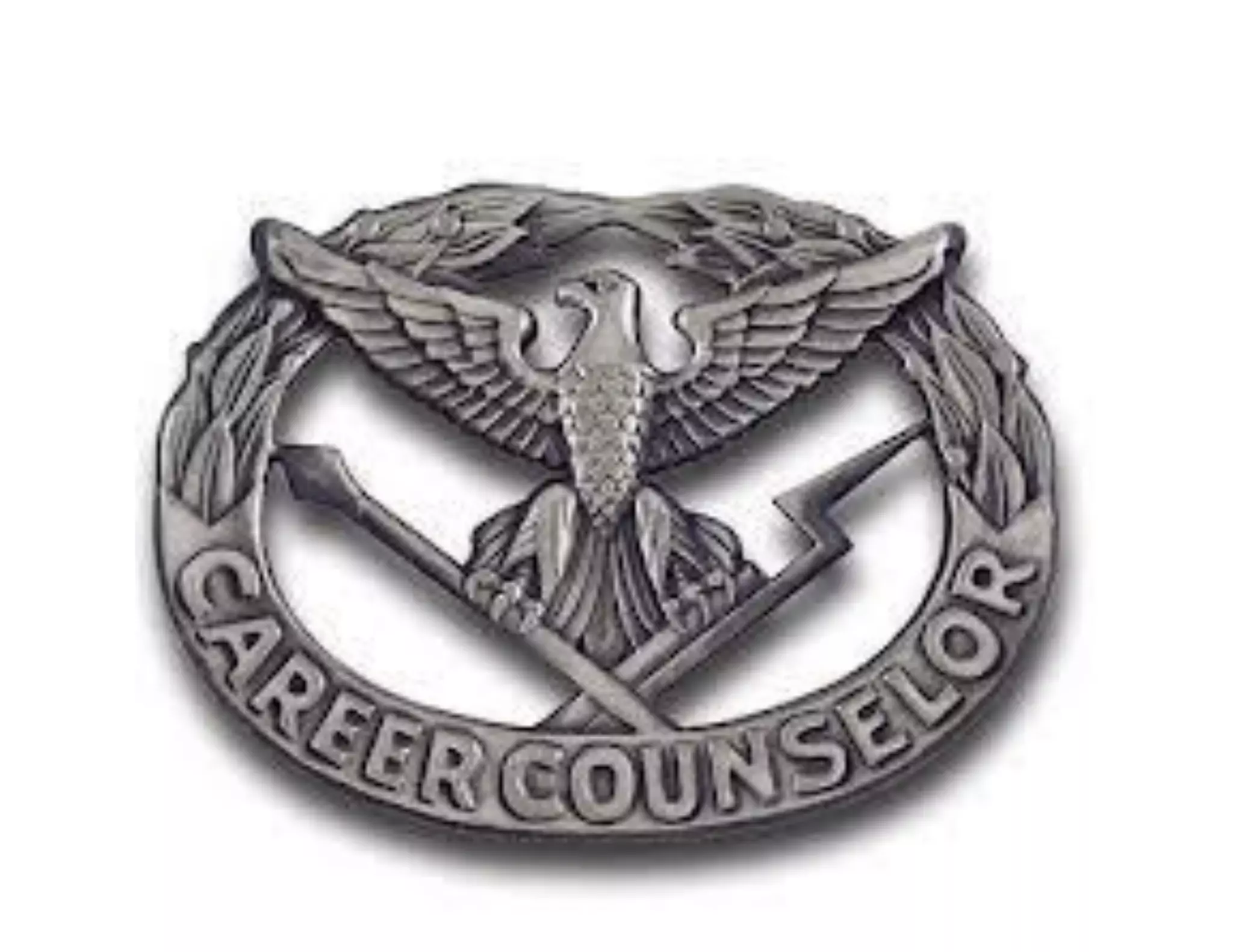 Career Counselor Badge Earned 1995 | PDF