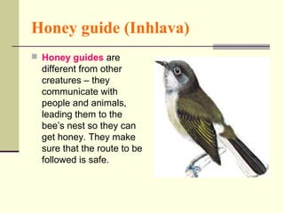 Career guidance | PPT | Career Planning | Careers